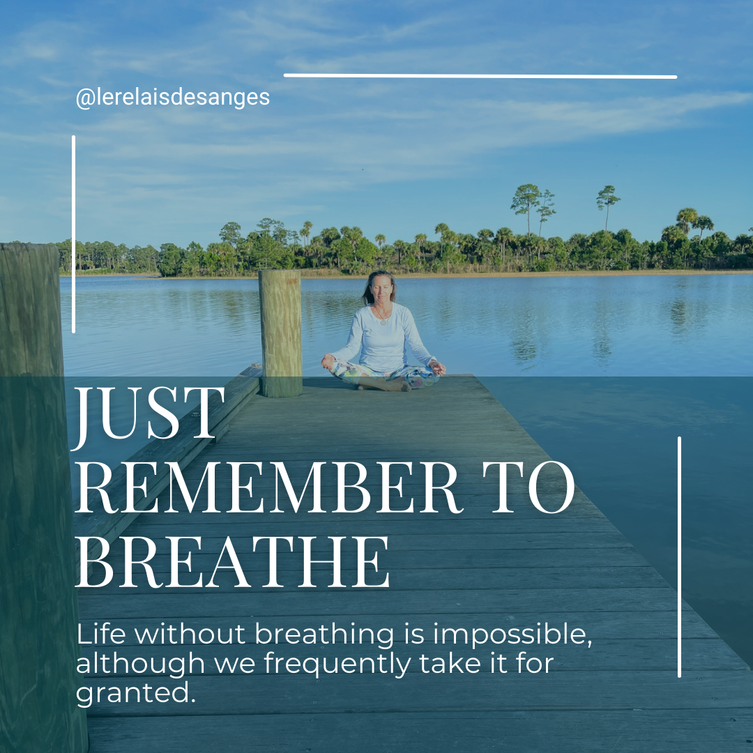 BREATHE – BRIGITTE BRUYEZ BREATHWORK COACHING